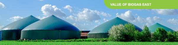 Value of Biogas East - Cameron Instruments